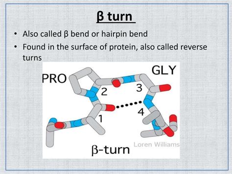Secondary Structure Of Protein Repeating Structure Of Protein Pptx