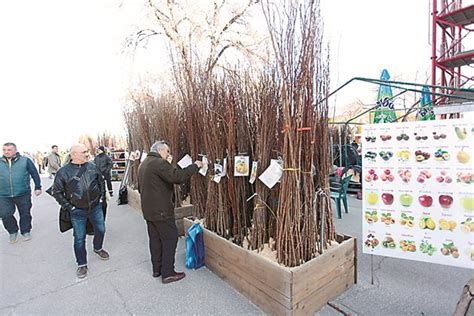 Опасни бактерийни и гъбни болести се пренасят с посадъчния материал Български Фермер