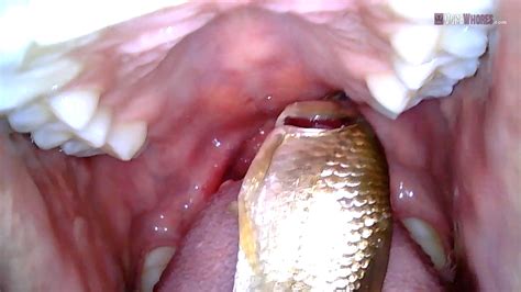 Titi Bites On Twitter This Clip Is Selling A Lot So It Must Be Of Particular Interest To Our