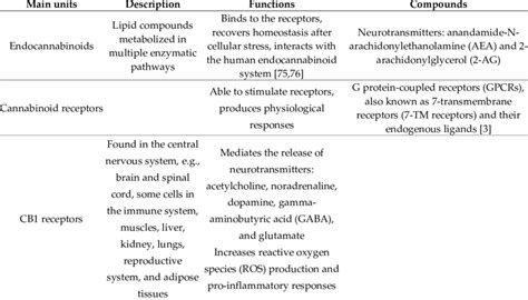 Different Parts Of The Endocannabinoid System Download Scientific