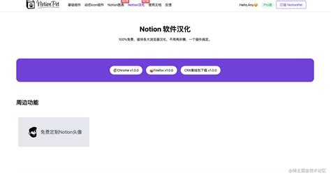 notion 中文：客户端、网页端汉化方案 notion 客户端汉化 csdn博客