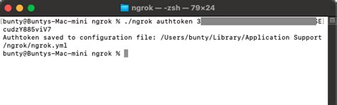 Exposing A Local Spring Boot App To The Web With Ngrok Bootcamptoprod