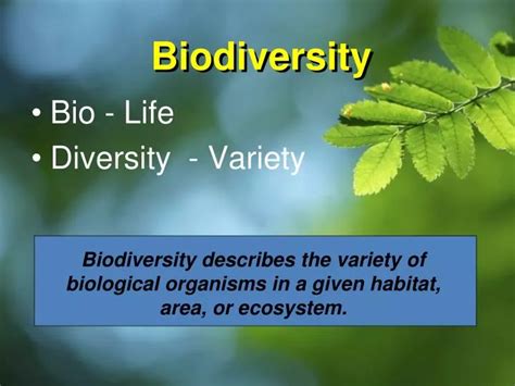 Biodiversity Ppt Free Templates Free Power Point Template Ppt Template