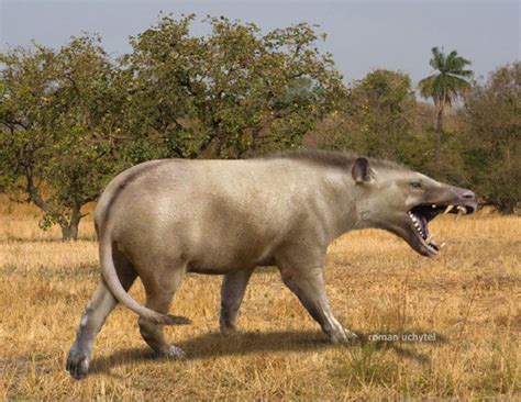 Andrewsarchus Mongoliensis Is A Large Extinct Carnivore Known From