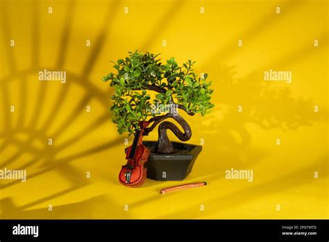 Gobo Shade Mask And Small Decorative Bonsai Tree With Cute Wooden