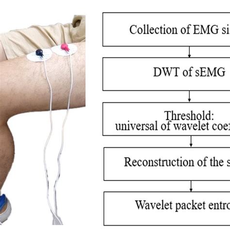 processing the emg signal to entropy download scientific diagram