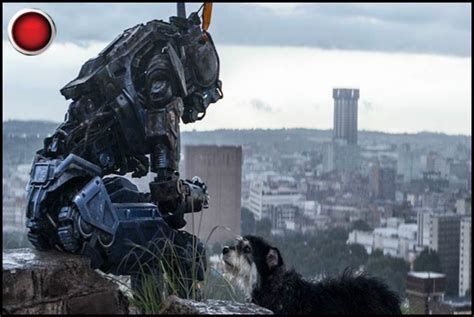Chappie Movie Review Robot Icks