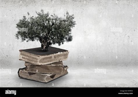 Conceptual Image With Green Tree Growing From Book Stock Photo Alamy