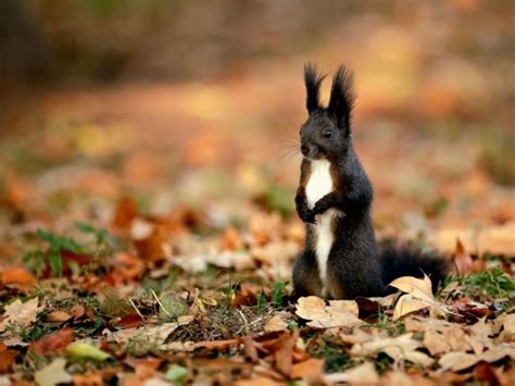 Утре ще е слънчево след това облаци превземат страната