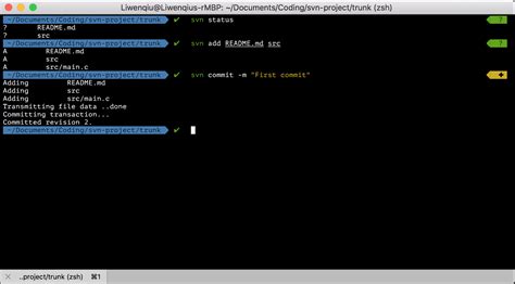 访问 Svn 仓库 什么是 Devops Devops 介绍 ｜ Coding Devops