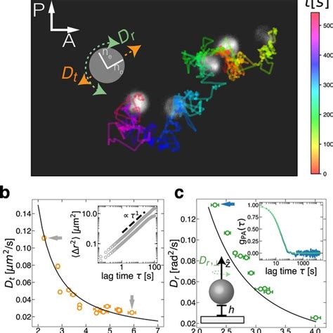 The Translational And Rotational Diffusion Of An Individual Particle Is