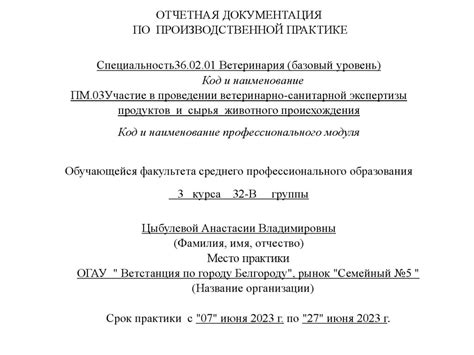 Отчетная документация по производственной практике презентация онлайн