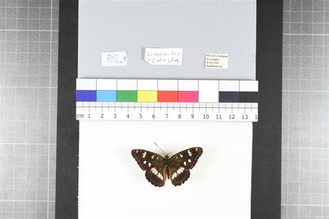 Meiosis Biodiversity Conservation Lab