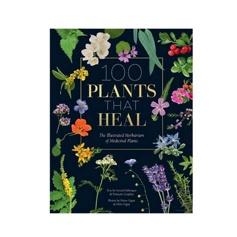 100 Plants That Heal The Illustrated Herbarium Of Medicinal Plants