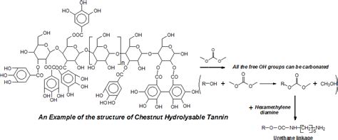 Jrm Hydrolysable Chestnut Tannin Extract Chemical Complexity In Its Reactions For Non