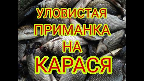 Дедовская прикормка на карася, которая приманит его со всех уголков ...