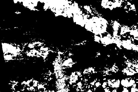 Python Calculate And Plot Segmentation Mask Pixels Stack Overflow