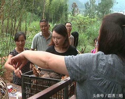 三明車友鄉村旅遊 助力精準扶貧 每日頭條