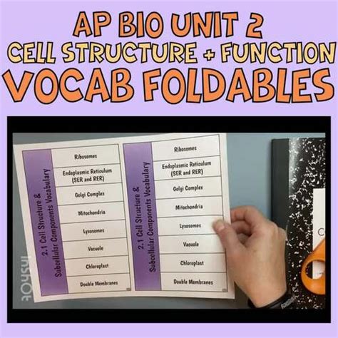 Unit AP Bio Cell Structure And Function Vocabulary Foldable Review