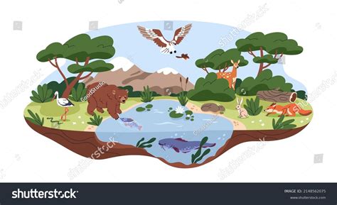 62894 Ecosystem Illustrations Stok Vektörü Görseller Ve Vektör Sanatı