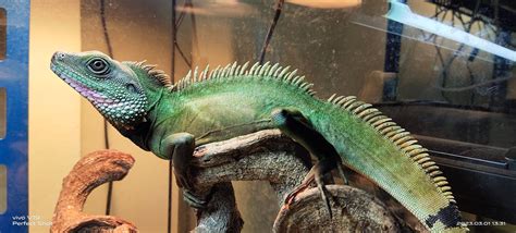 Captain A Frozen Added A New Photo Captain A Frozen