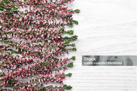 하얀 나무 테이블에 아름다운 꽃이있는 헤더 가지 평평하게 누워 있습니다 텍스트를 위한 공간 0명에 대한 스톡 사진 및 기타