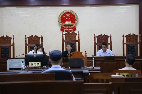 滥伐林木？非法拘禁？罪责难逃！田林9名男子齐领刑澎湃号·政务澎湃新闻 The Paper