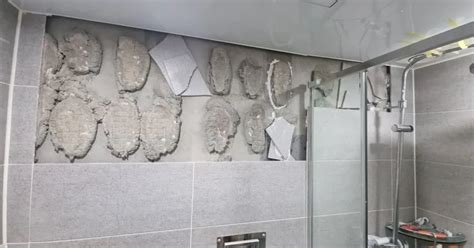 친절하게 상담해주시고 시간에 맞춰서 바로 작업해 주셨으며 문제는 바로 바로 확인해주셨습니다 숨고 숨은고수