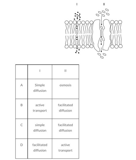 Facilitated Diffusion Diagram