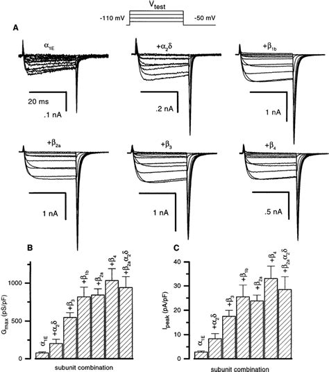Modulation Of Ionic Current Density By Subunits A Ionic Currents In