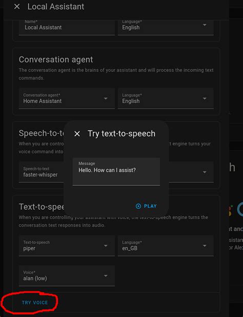 Home Assistance Voice Preview Edition No Sound Voice Assistant