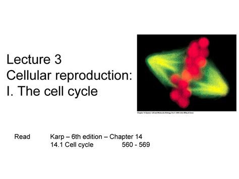 Lecture Notes Lectures Cell Cycle Lecture Cellular Reproduction I The Cell Cycle Read