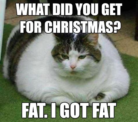 Funny Christmas Memes In