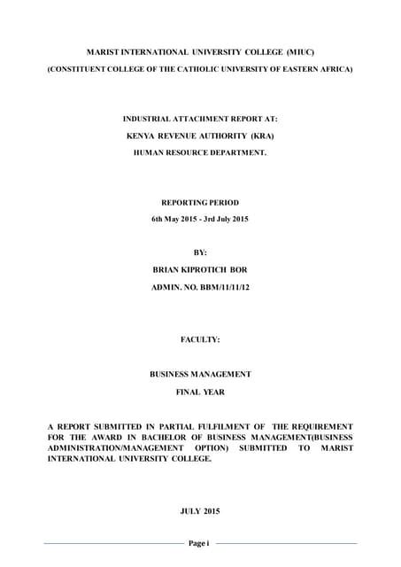 Attachment Report Sample Pdf