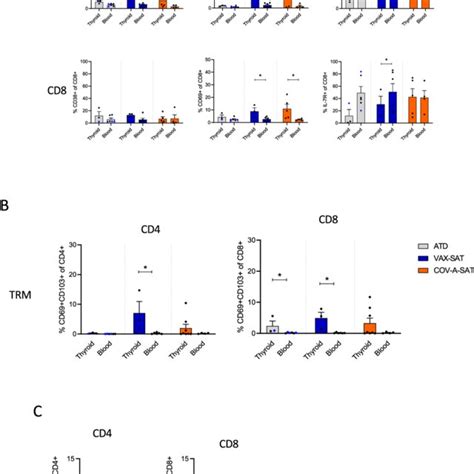Tissue Resident Memory Cells Trm Are Present In The Thyroid Gland A