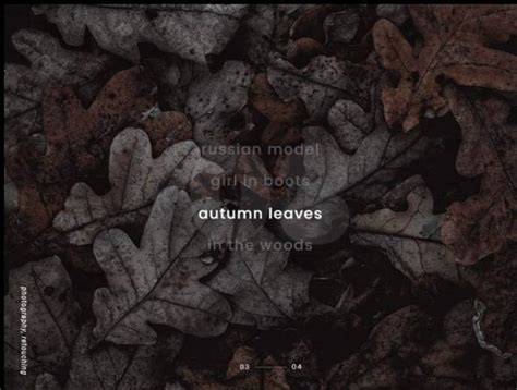 Svg滑动代码下载，html蒙版效果 17素材网