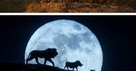 라이온 킹 디즈니 레전드 라이브 액션으로 재탄생 웅장한 예고편