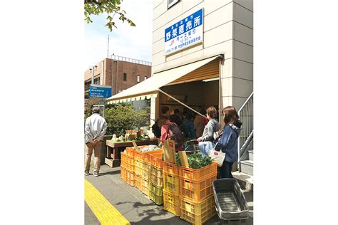 麻生区役所近くで新鮮な朝採れ野菜を販売 柿生野菜生産者直売会の新百合ヶ丘直売所 INSPIRE HUB SHINYURI