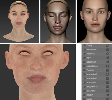 Skin Mapping найдено 90 изображений
