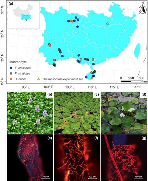 Geographical Locations Of The Sampling Sites In Southern China A