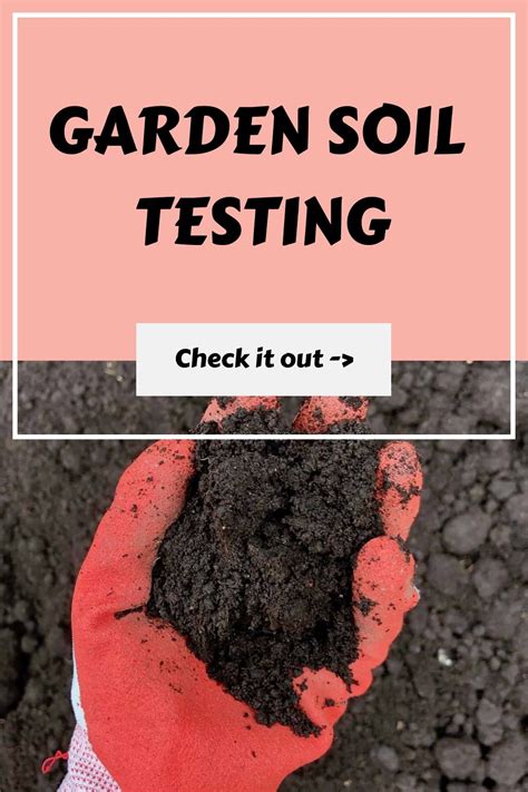 Garden Soil Testing Garden Soil Soil Testing Soil