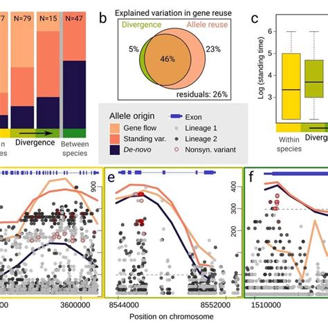 Workflow Of The Modified Sequence Capture Method Following