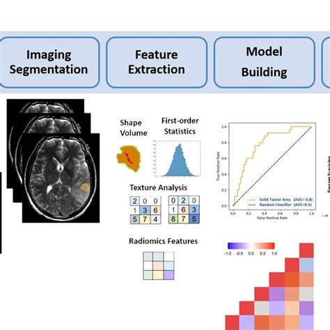 Radiomics Workflow It Refers To The Extraction Of A Vast Dataset From Download Scientific