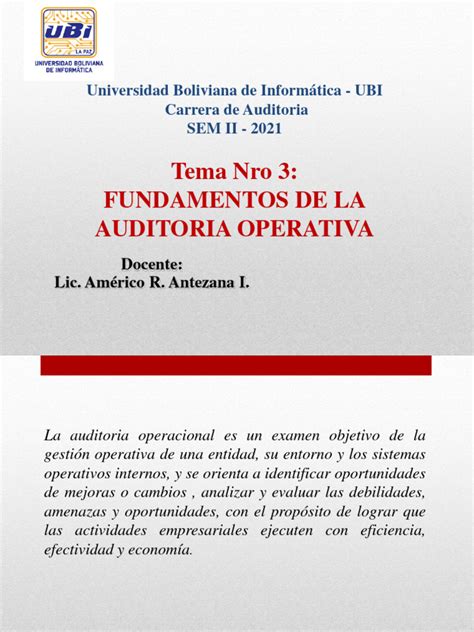 Tema 3 Fundamentos De Auditoria Operativa Pdf Negocios