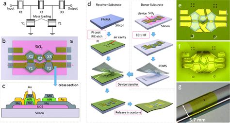 A The Circuit Topology Diagram Of The Flexible Fbar Filter With Three Download Scientific