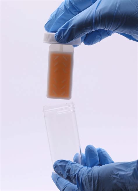 Dipslide Microbial Testing Services Biosan Laboratories Inc
