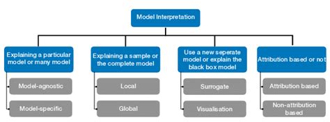 taxonomy of model interpretation methods download scientific diagram