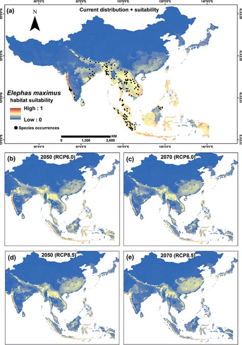 The Predicted Habitat Suitability For Asian Elephant Elephas Maximus