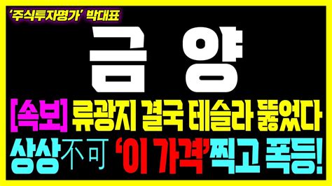 금양 초거대세력 11월 추가 매집 진행중 충격적 매수 이유 공개 금양금양 주가전망lg에너지솔루션 에스엠랩 몽골리튬광산 발포제 수산화리튬 원통형배터리