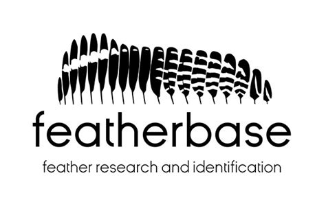 Board Overview Featherbase Info